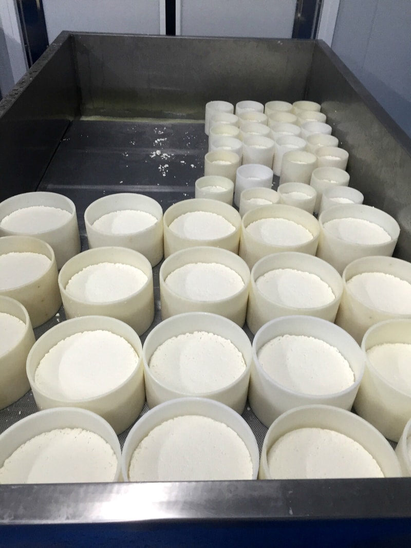 desuerado_queso_El Cabriteru - Quesería Artesanal El Cabriteru